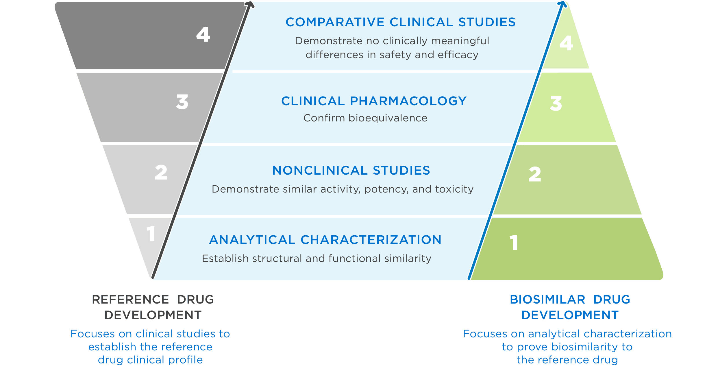 AVSOLA®(infliximab-axxq)'s Totality of Evidence
