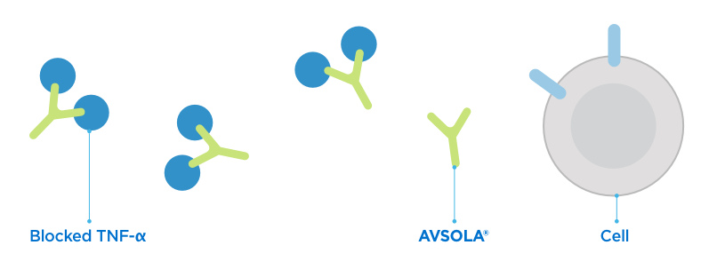 What is AVSOLA® | AVSOLA® (infliximab-axxq)